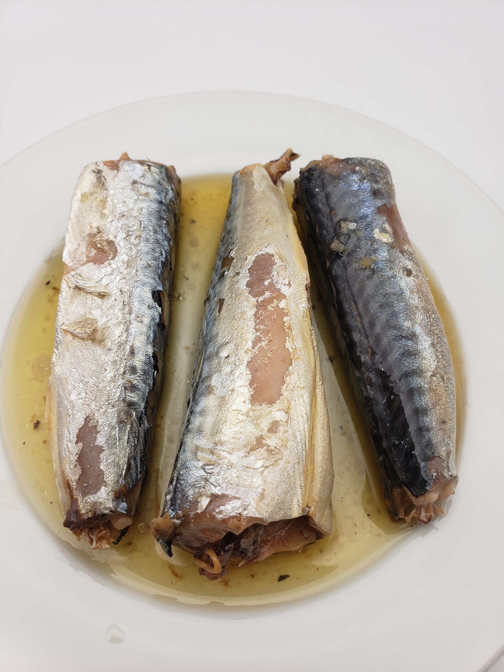 José Gourmet Small Mackerel in Olive Oil - RTG.fish - Rainbow Tomatoes ...