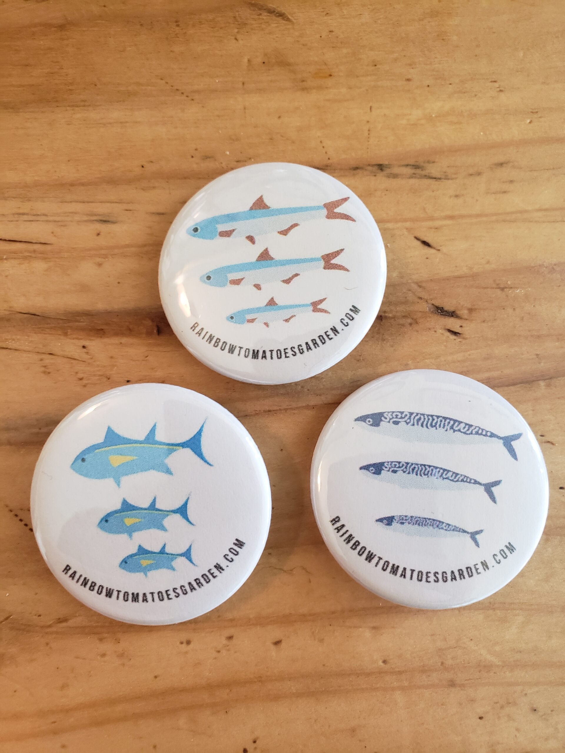Fish Button Pin-back Trio Pack - RTG.fish - Rainbow Tomatoes Garden