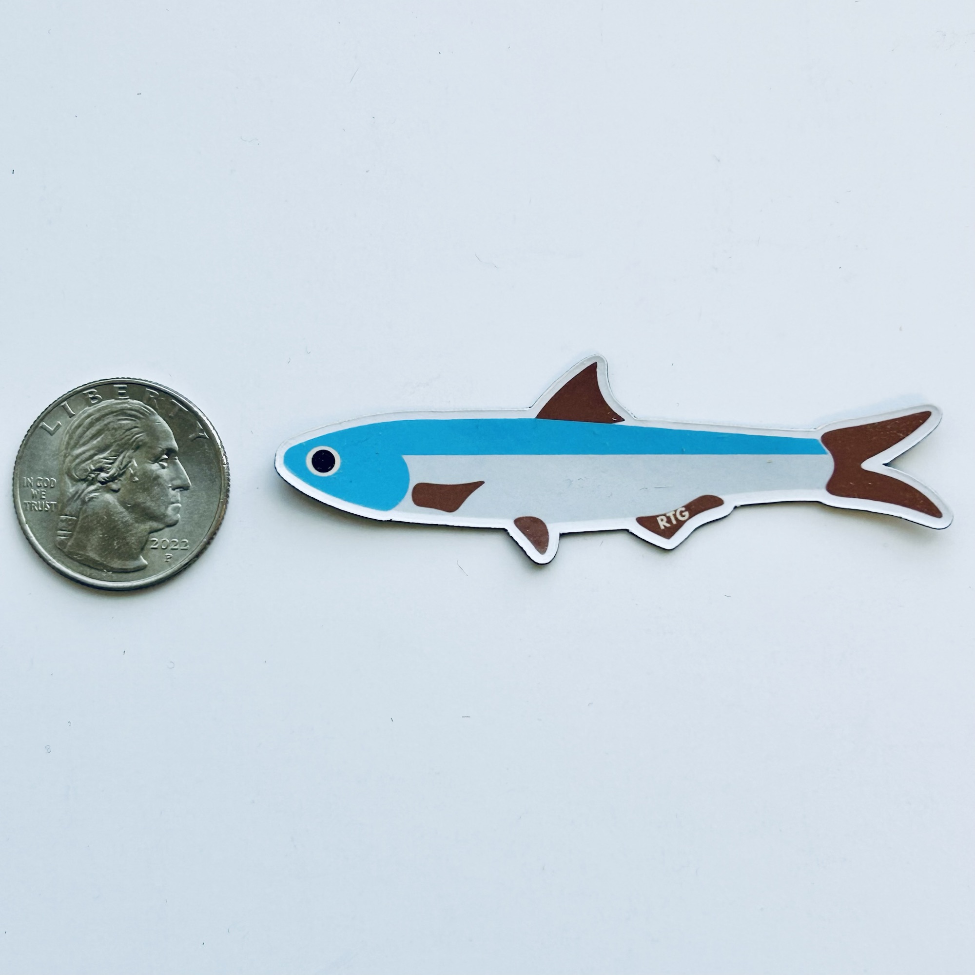 Anchovy Icon Magnet - RTG.fish - Rainbow Tomatoes Garden